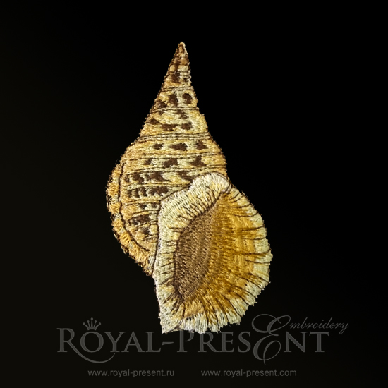 Machine embroidery design Shell| Royal Present Embroidery