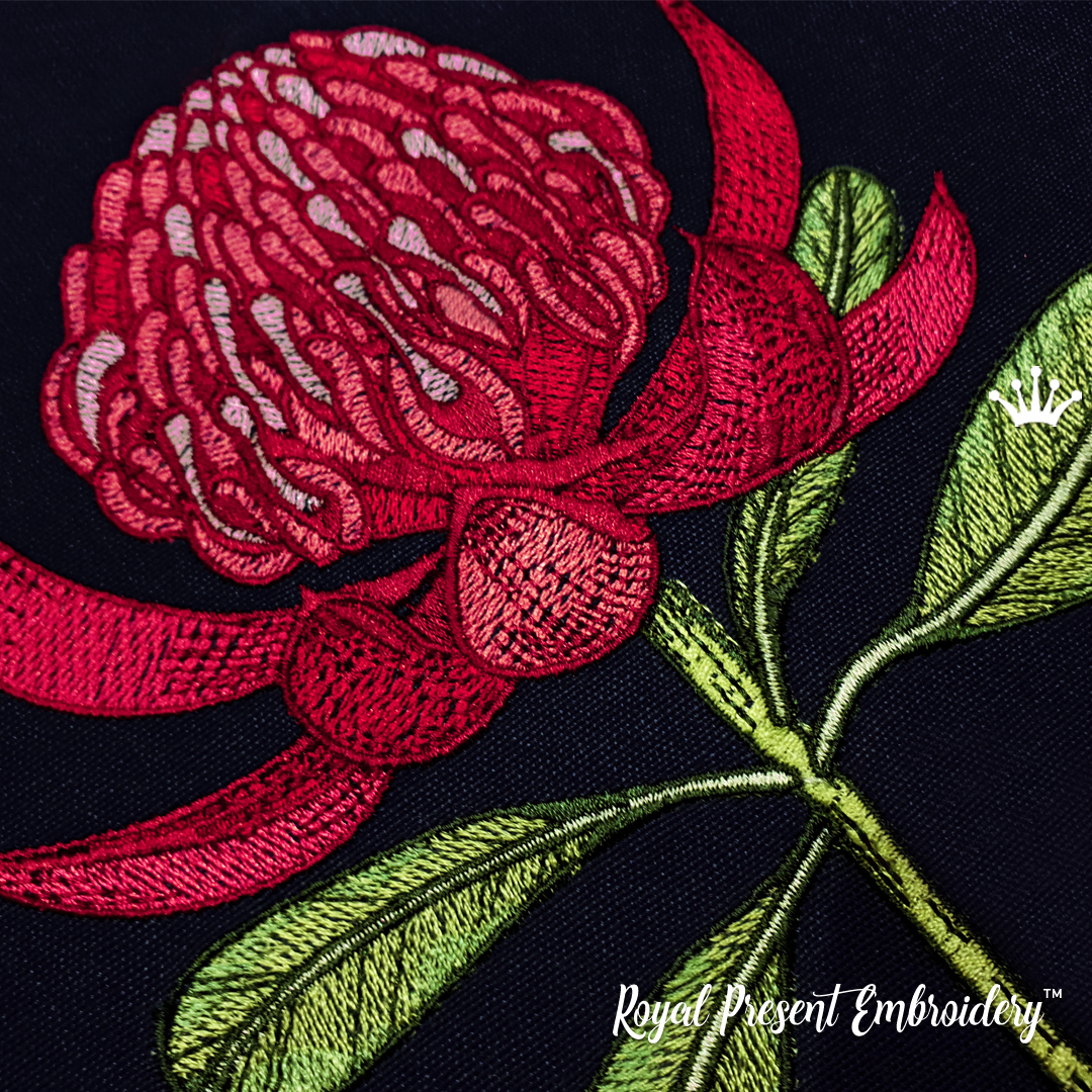 Waratah Flower Machine Embroidery Design - 5 sizes | Royal Present ...